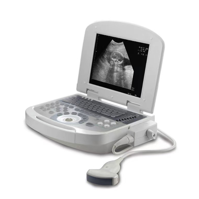 Portable Medical Devices
